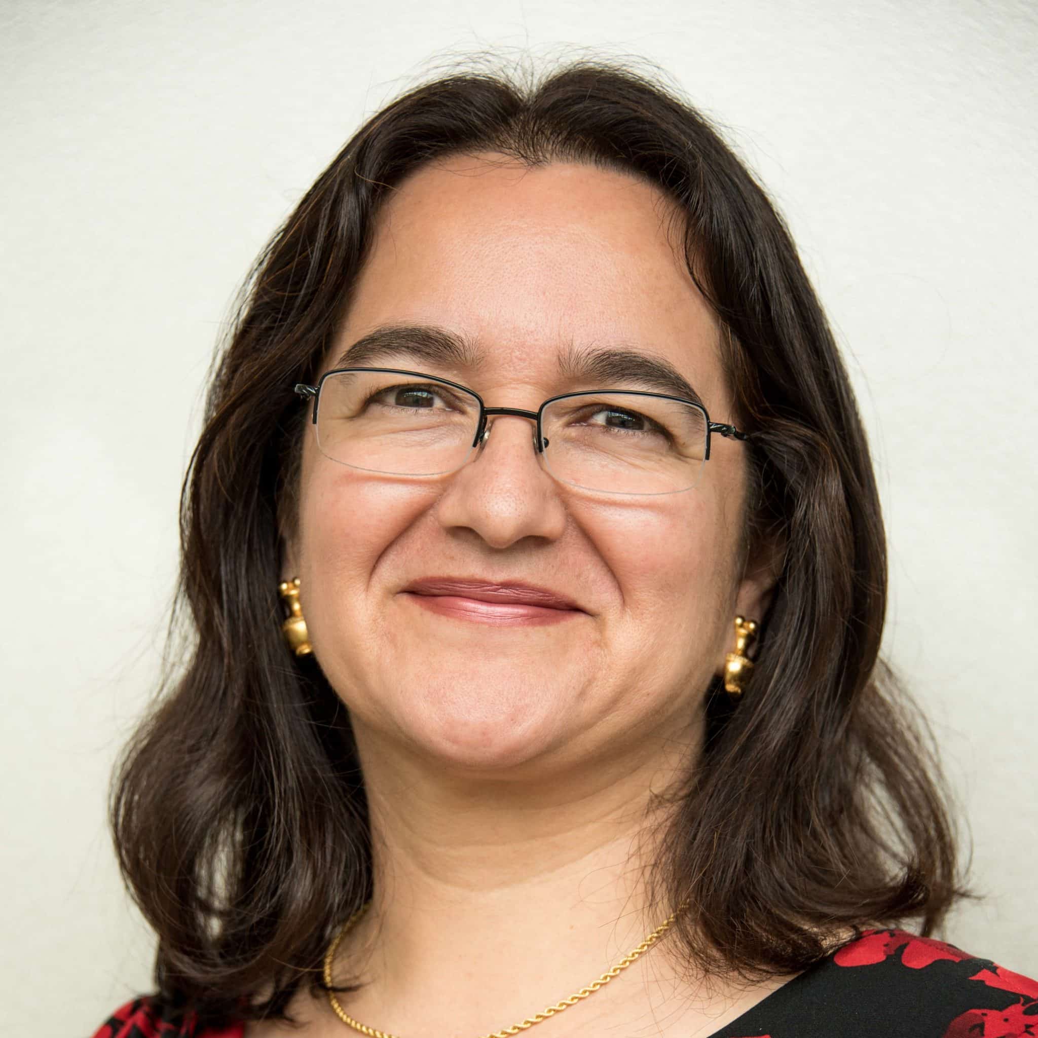 DInA Steering Committee - Micronutrient Forum