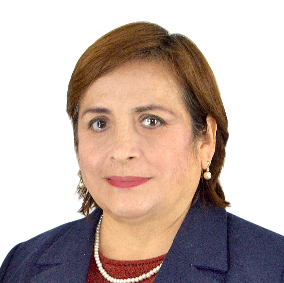 DInA Steering Committee - Micronutrient Forum